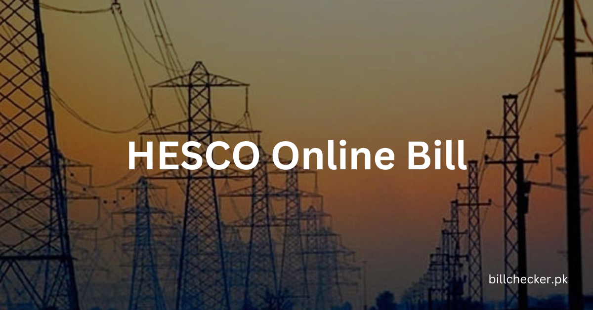 HESCO Online Bill February 2025 - Check HESCO Bill Online